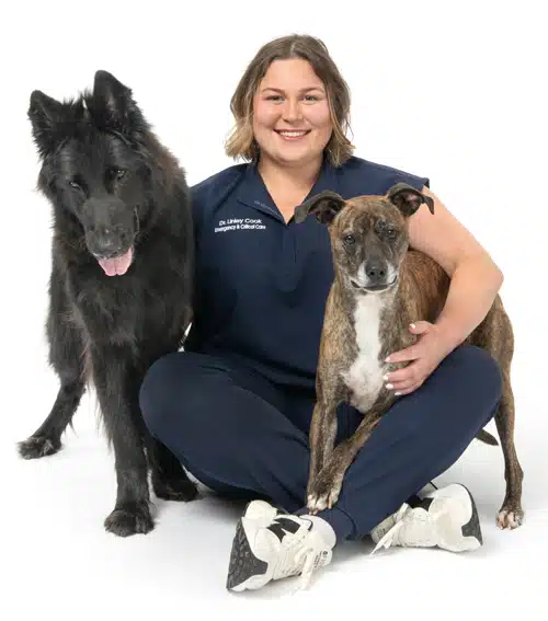 Arista | Dallas - Arista Advanced Pet Care